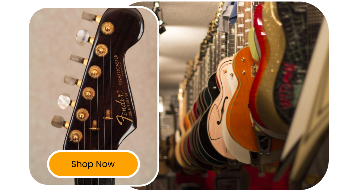Sell Guitars Online and Make Money with Shopify – SANOMADS